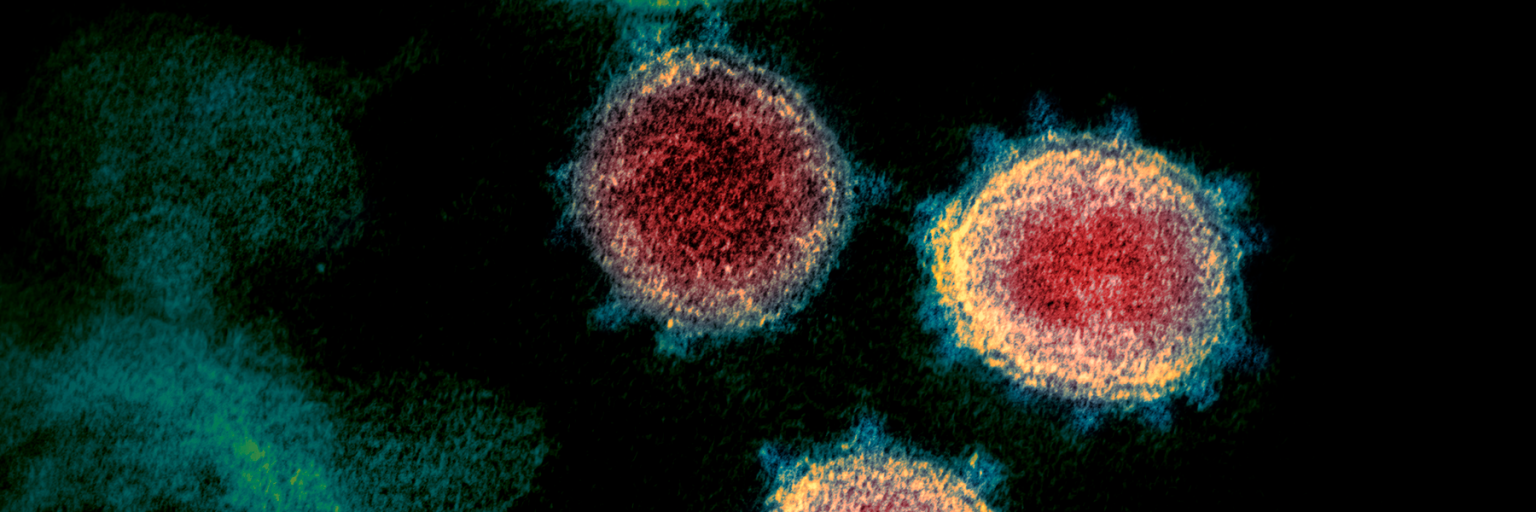 Physicians for a National Health Program - PNHP